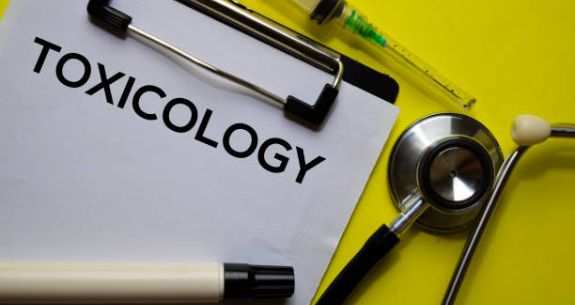 Toxicological Risk Assessment Of Mutagenic Impurities • Starodub